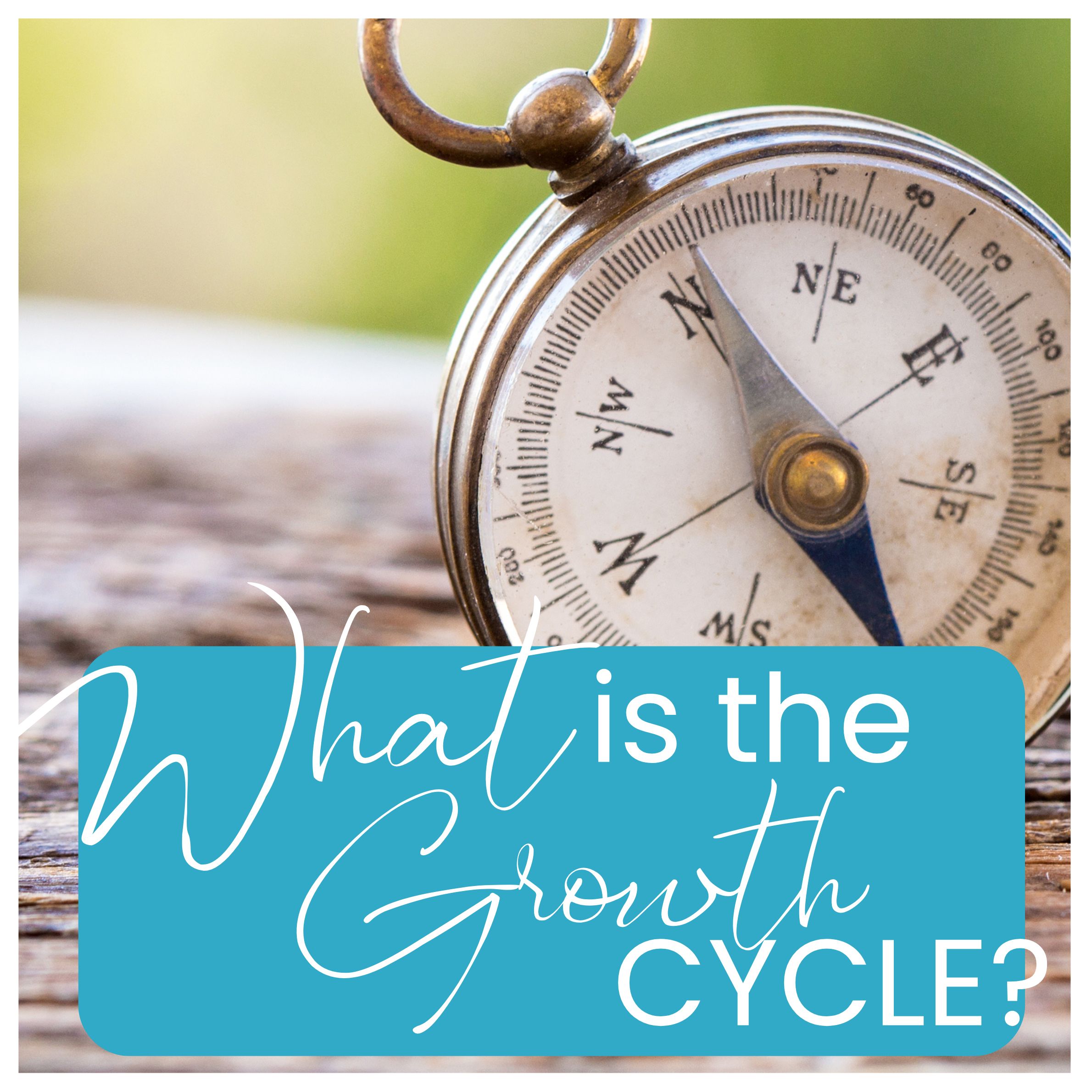 Where are you on the Growth Cycle? - Kate Vanden Bos